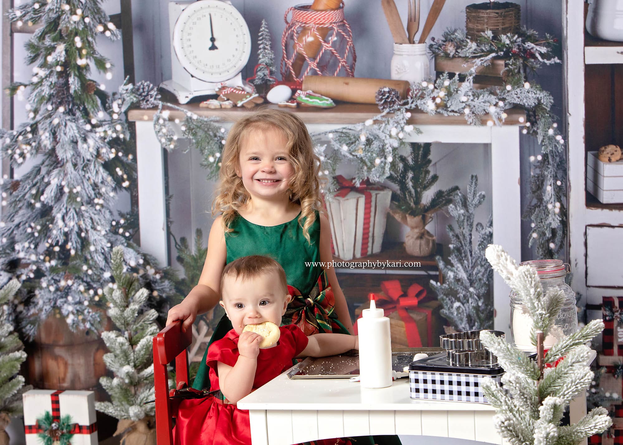 Christmas Mini Portraits 2 {SE MN Christmas Portrait Photographer ...
